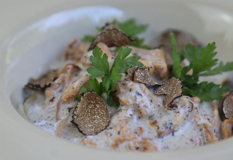 La Truffe de Bourgogne de la terre a l’assiette en Côte de Nuits ...