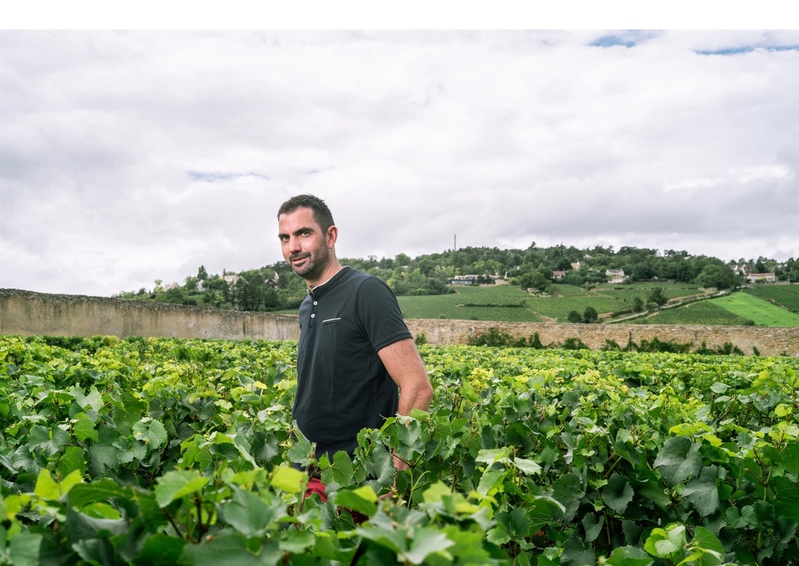 Domaine Baptiste GUYOT : Découverte de nos vins et des caves