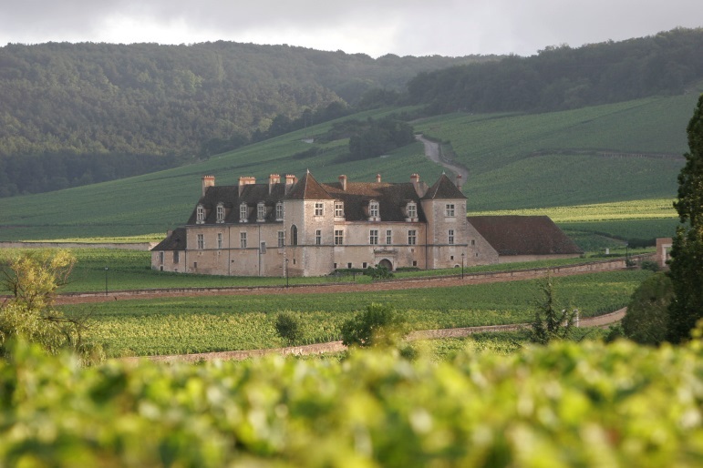 Château du Clos Vougeot - Discovery tour