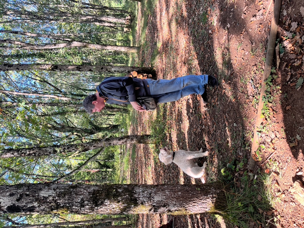 La Truffe de Bourgogne de la terre à l’assiette en Côte de Nuits ...